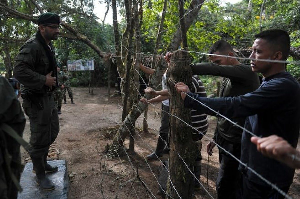 Mandos medios de Farc confiesan tratos inhumanos a secuestrados - Notiweb